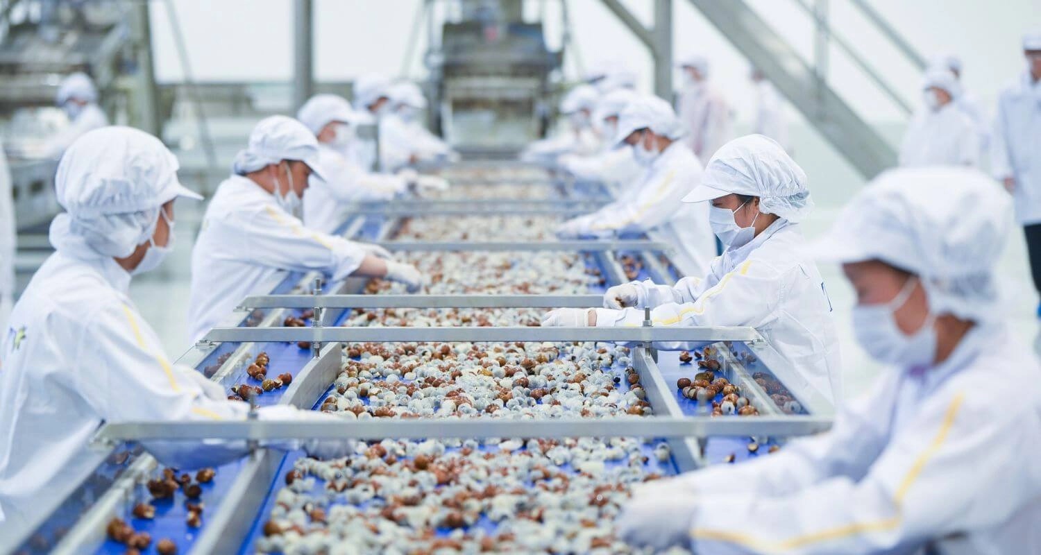 Food Production Industry - Nam Phat Engineering